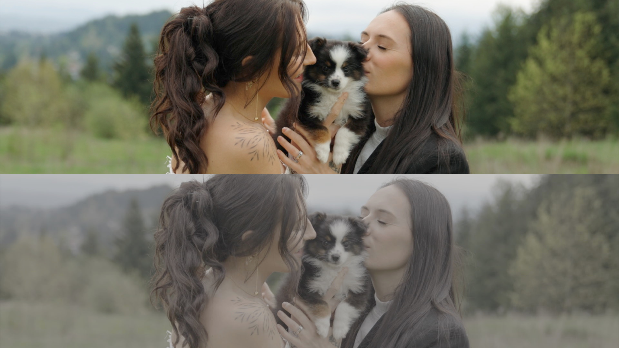 Sony SLOG3 Settings | Why you need to film in LOG