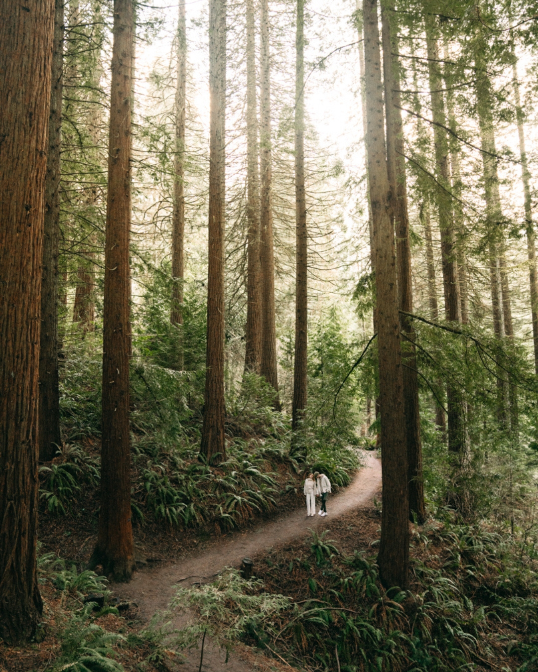 Larc Hill Vineyard Wedding | A + R Colorful Floral Styled Shoot