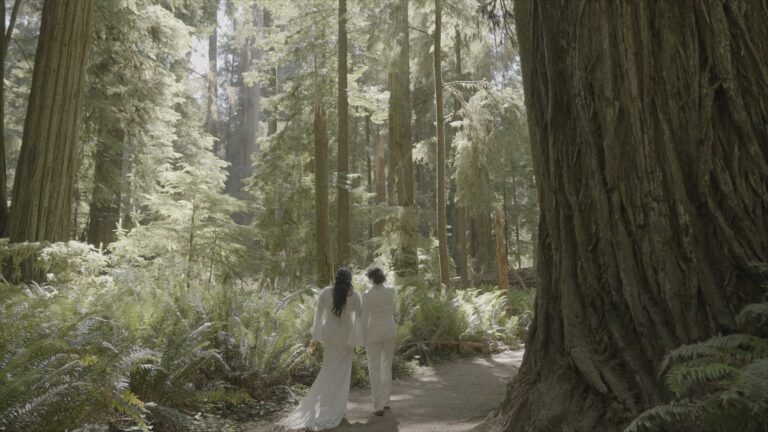 Sony SLOG3 Settings | Why you need to film in LOG