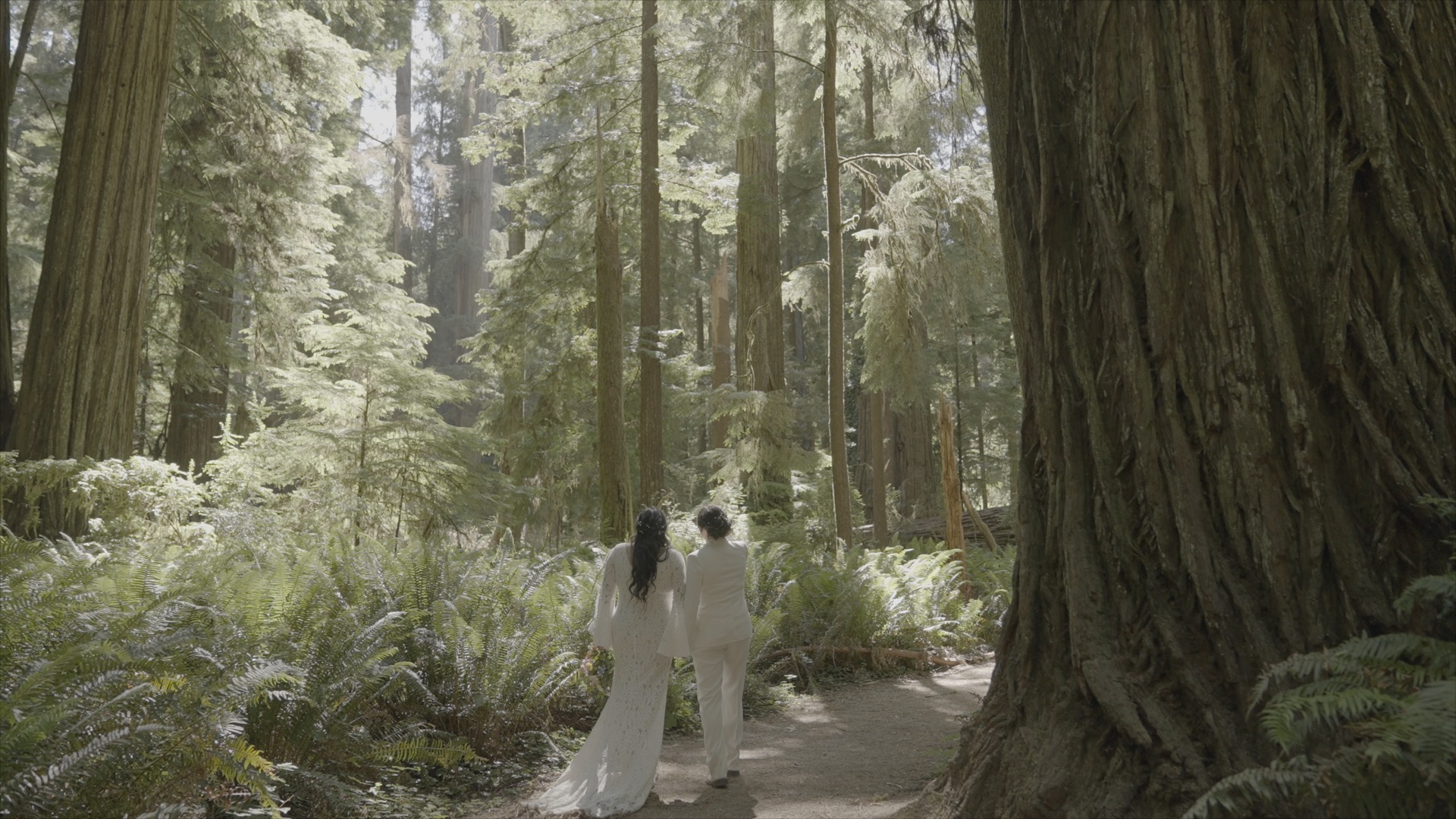 Sony SLOG3 Settings | Why you need to film in LOG