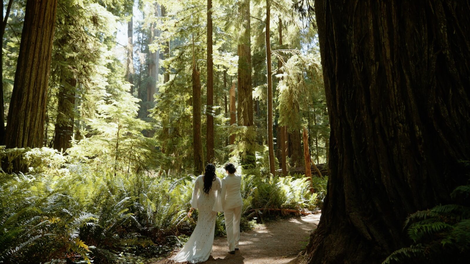 Sony SLOG3 Settings | Why you need to film in LOG