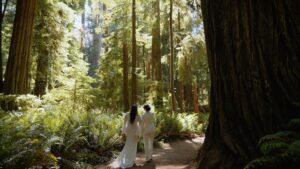 Sony SLOG3 Settings | Why you need to film in LOG