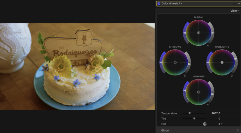 Sony SLOG3 Settings | Why you need to film in LOG